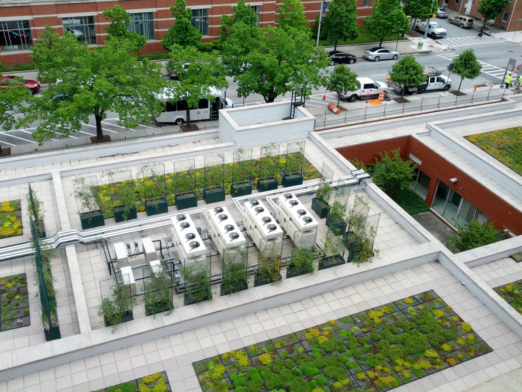 Colimore Architects/